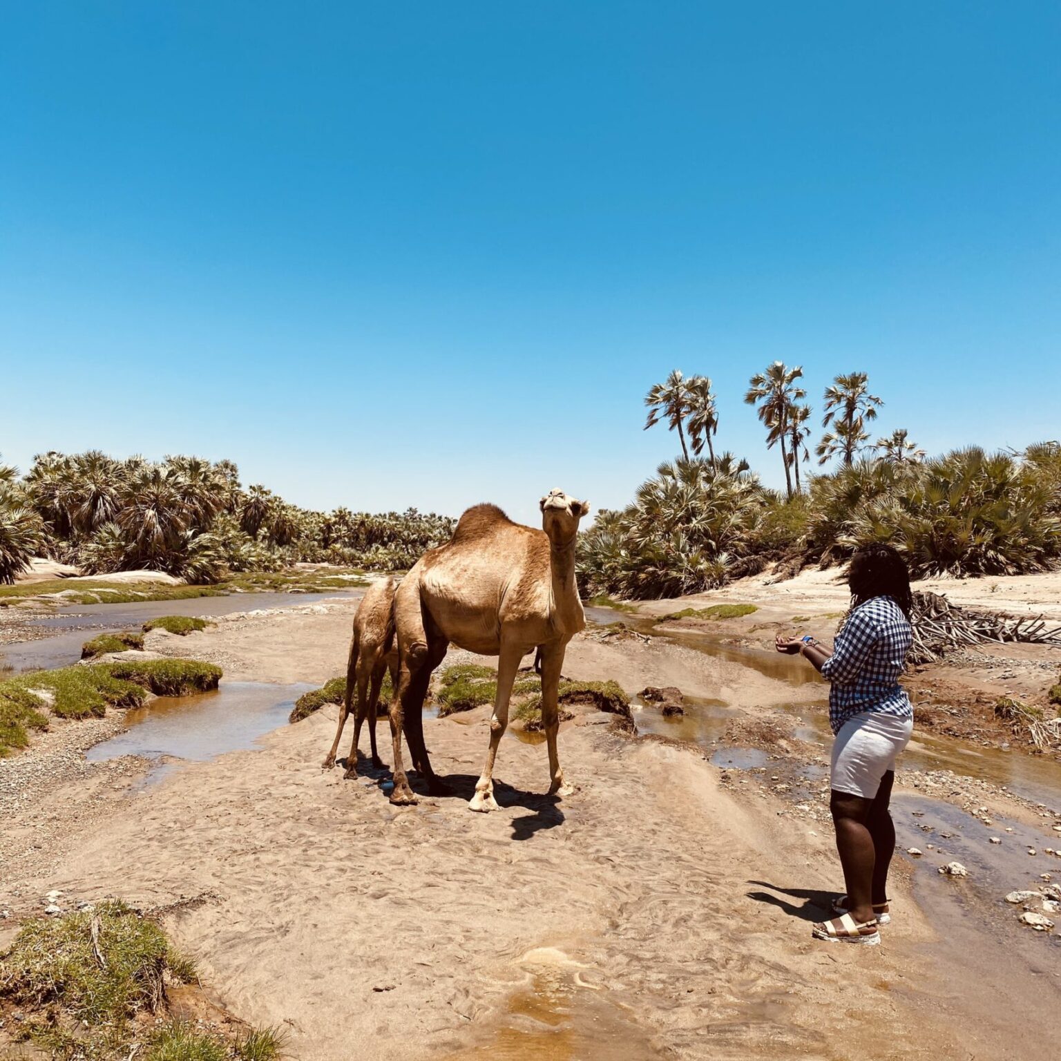 Why You Need to Visit Marsabit County - Masisha
